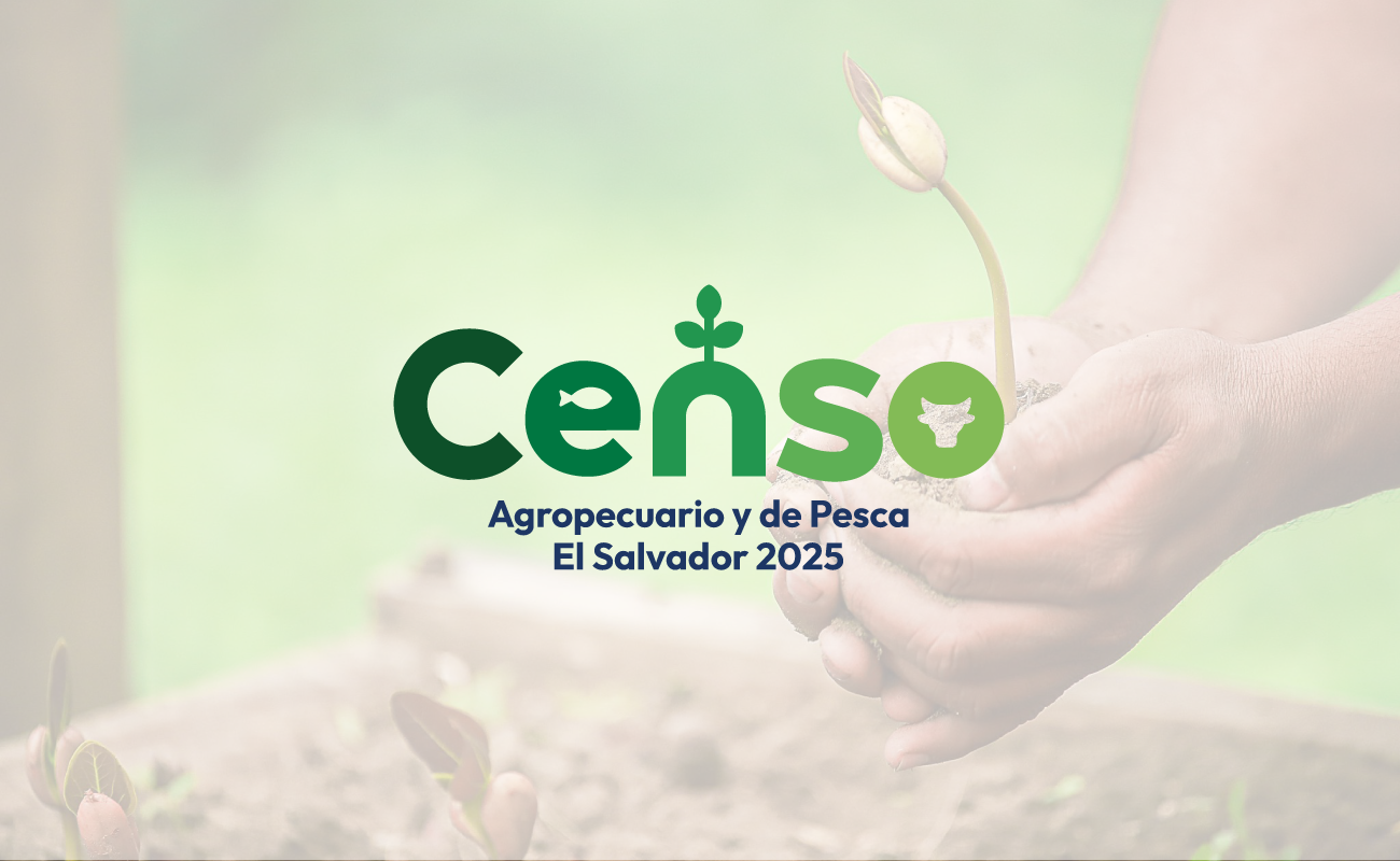 QuienesSomos - Censo 2025